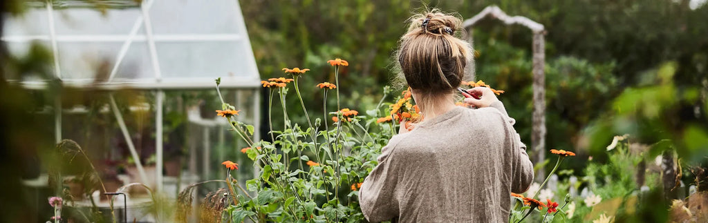 Gardening Glossary: Your Comprehensive A-to-Z Guide | Rhino Greenhouses US